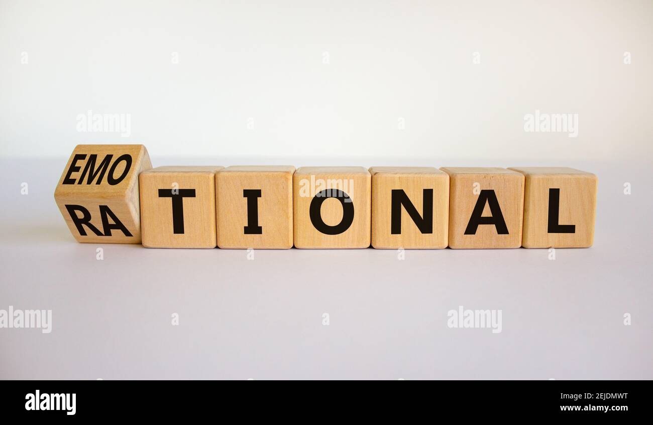 Rational or emotional symbol. Turned wooden cubes and changed the word ...