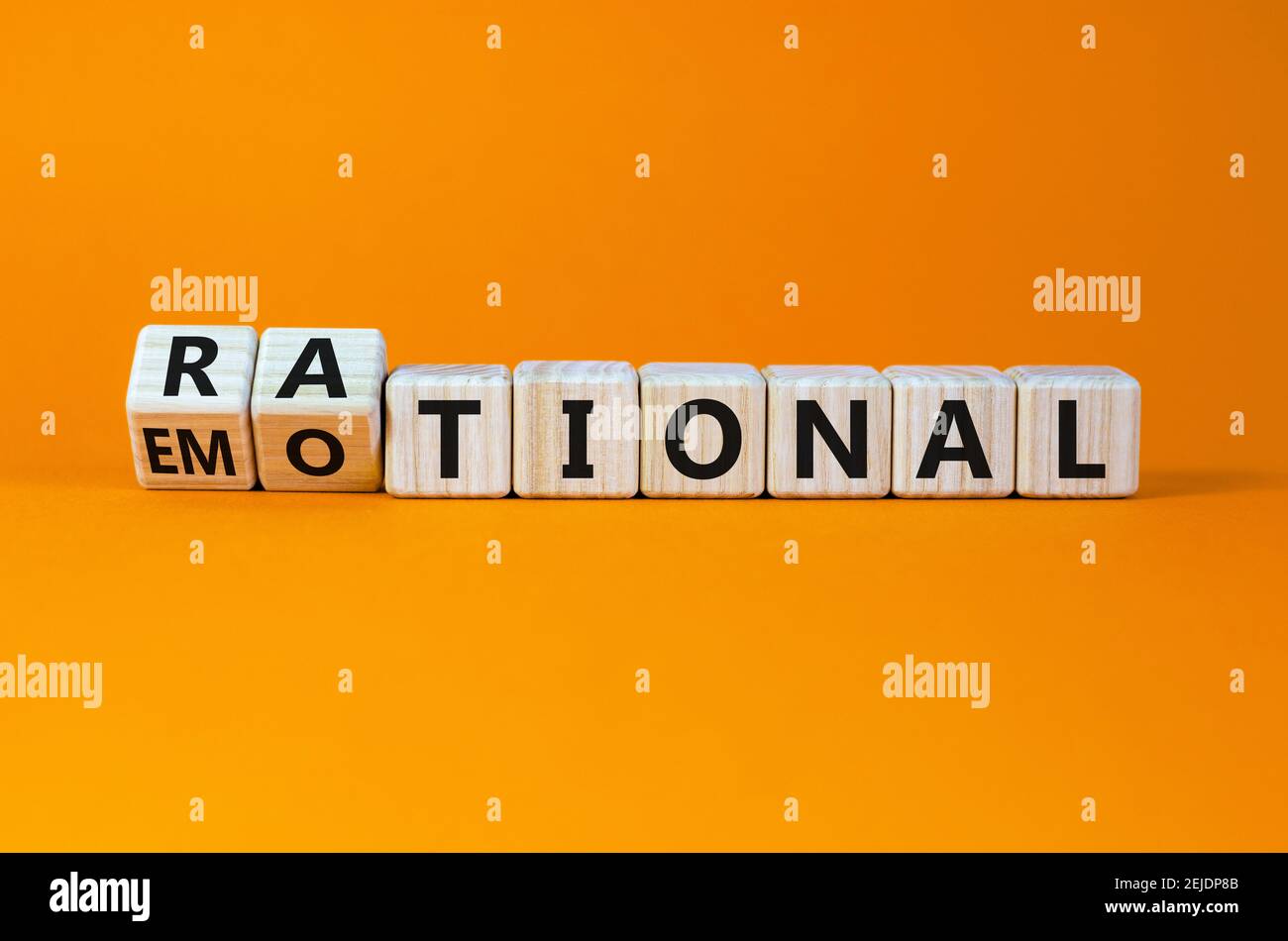 Rational or emotional symbol. Turned wooden cubes and changed the word ...