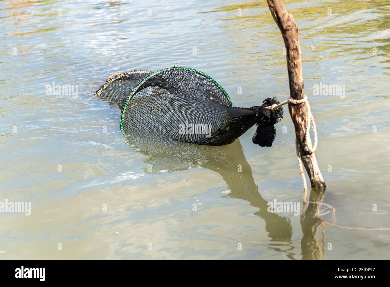 Fishermen catching shrimp hi-res stock photography and images - Alamy