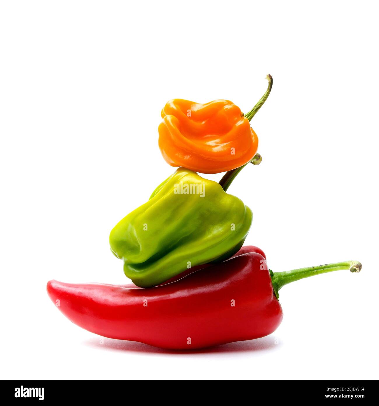 Ripe colorful Caribbean peppers (Capsicum chinense) isolated on a white ...