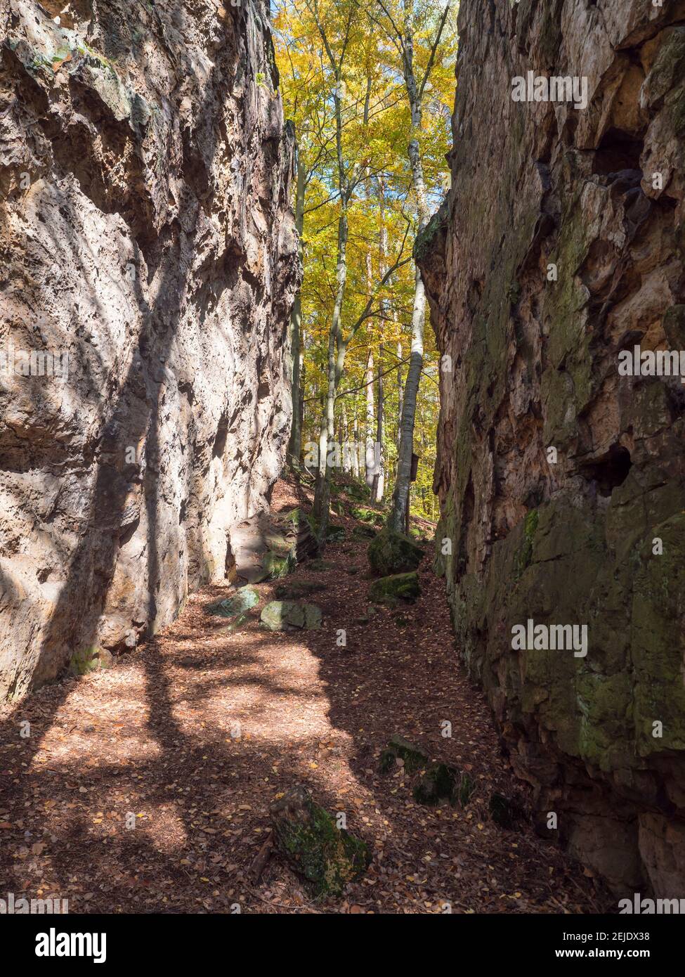 Sandstone rock wall, gate or tunnel at colorful autumn deciduous tree ...