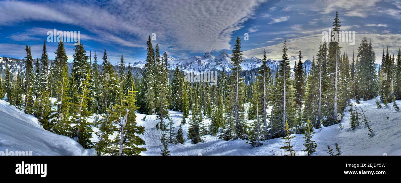 Trees on a snow covered landscape with mountain in the background ...