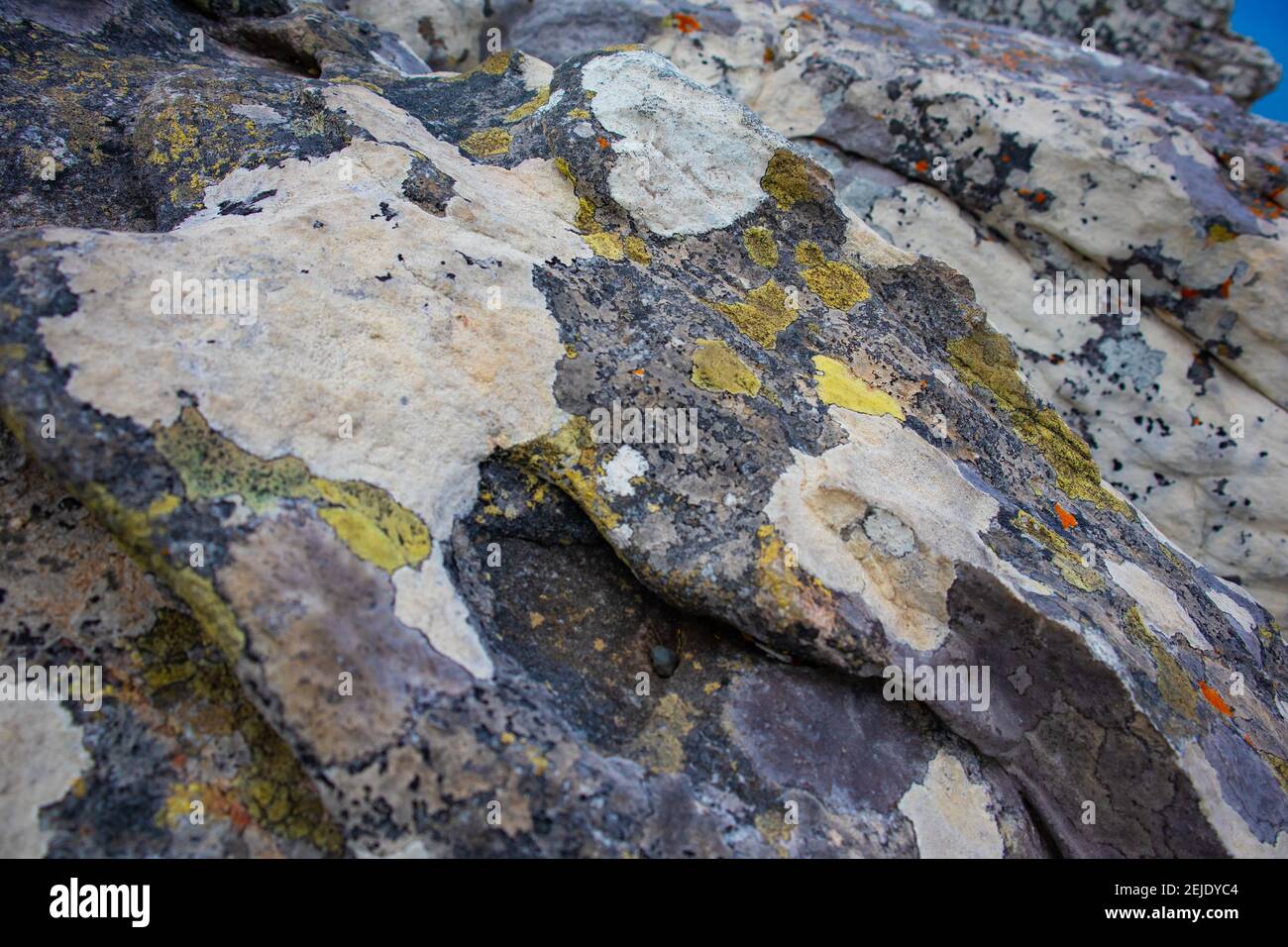 Cape Point- Cape Town, South Africa - 19-02-2021 Creative shot of ...