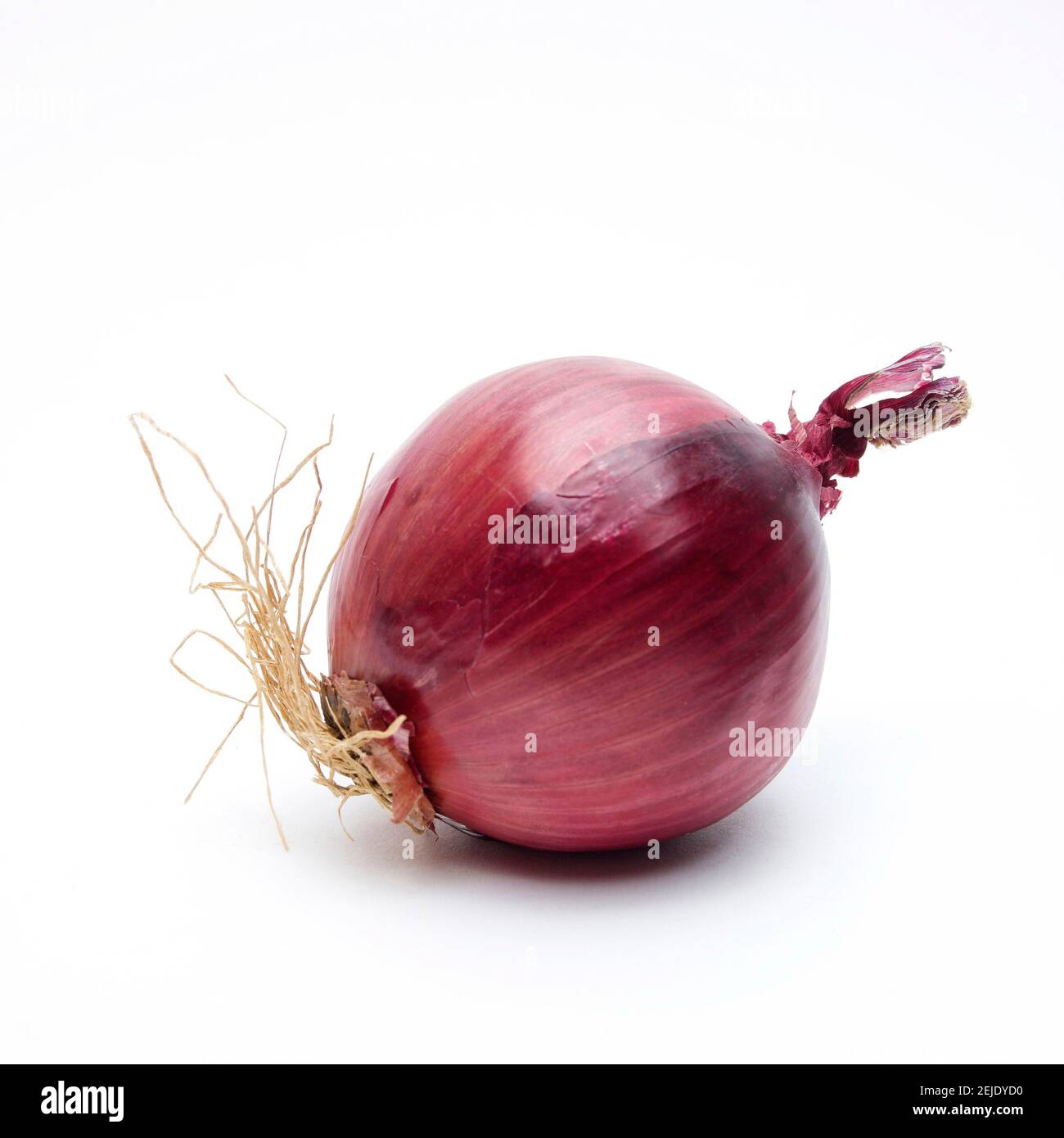Red onion with roots isolated on a white background showcasing vibrant ...