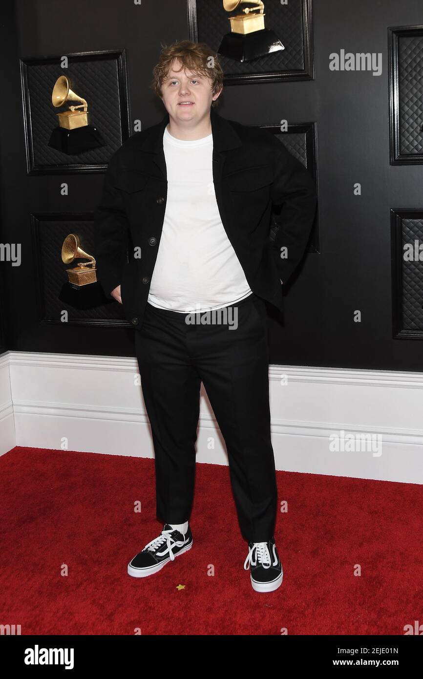 Lewis Capaldi arrives at the 62nd Annual Grammy Awards red carpet held ...
