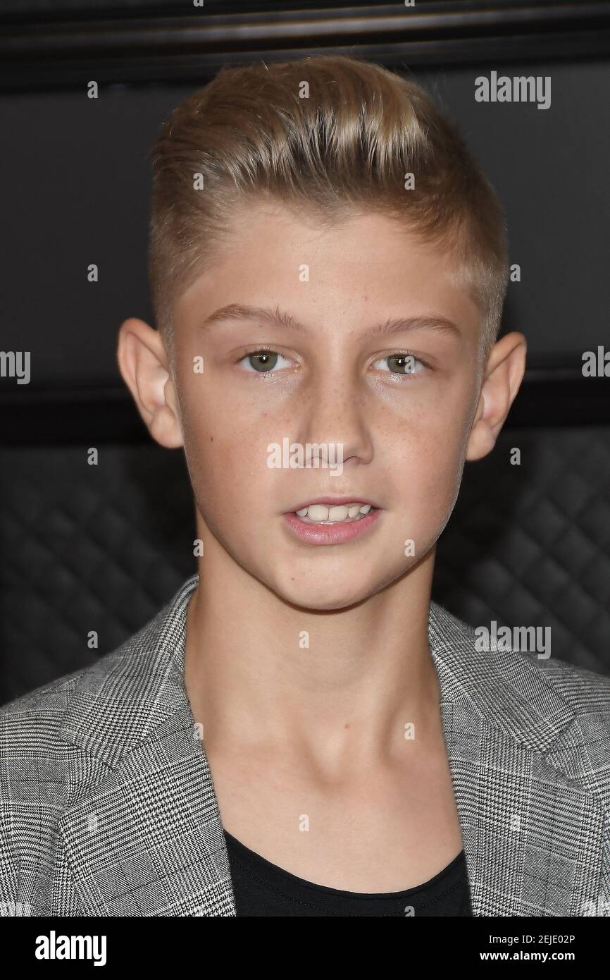 Stefan Benz arrives at the 62nd Annual Grammy Awards red carpet held at ...