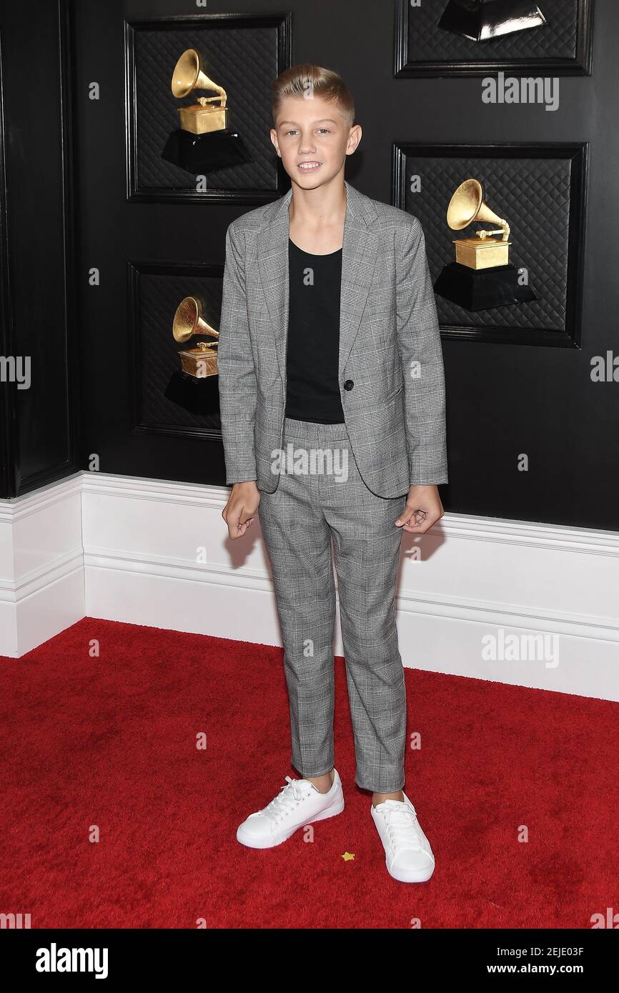 Stefan Benz arrives at the 62nd Annual Grammy Awards red carpet held at ...