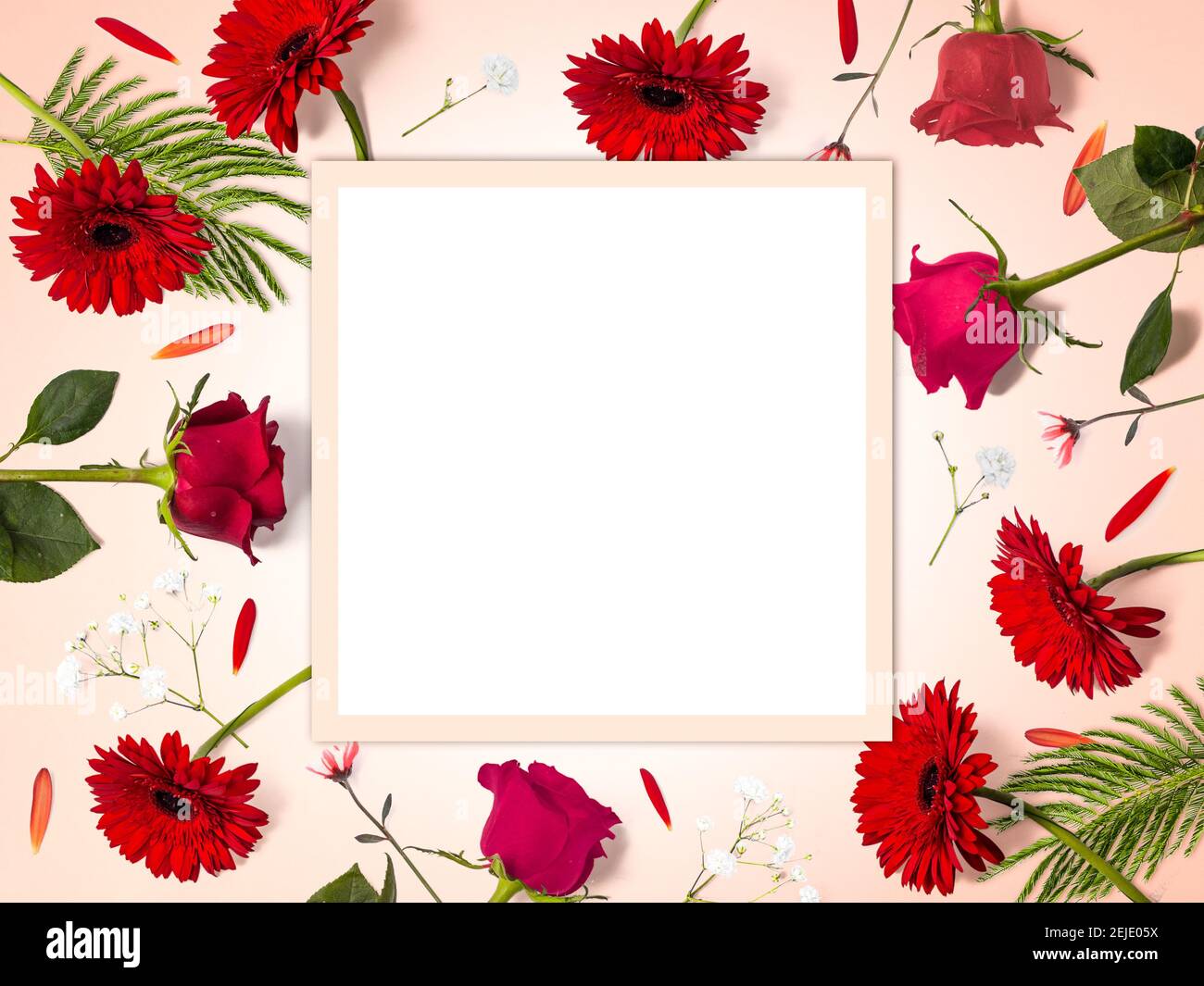 Creative flower composition made of red flowers with copy space ...