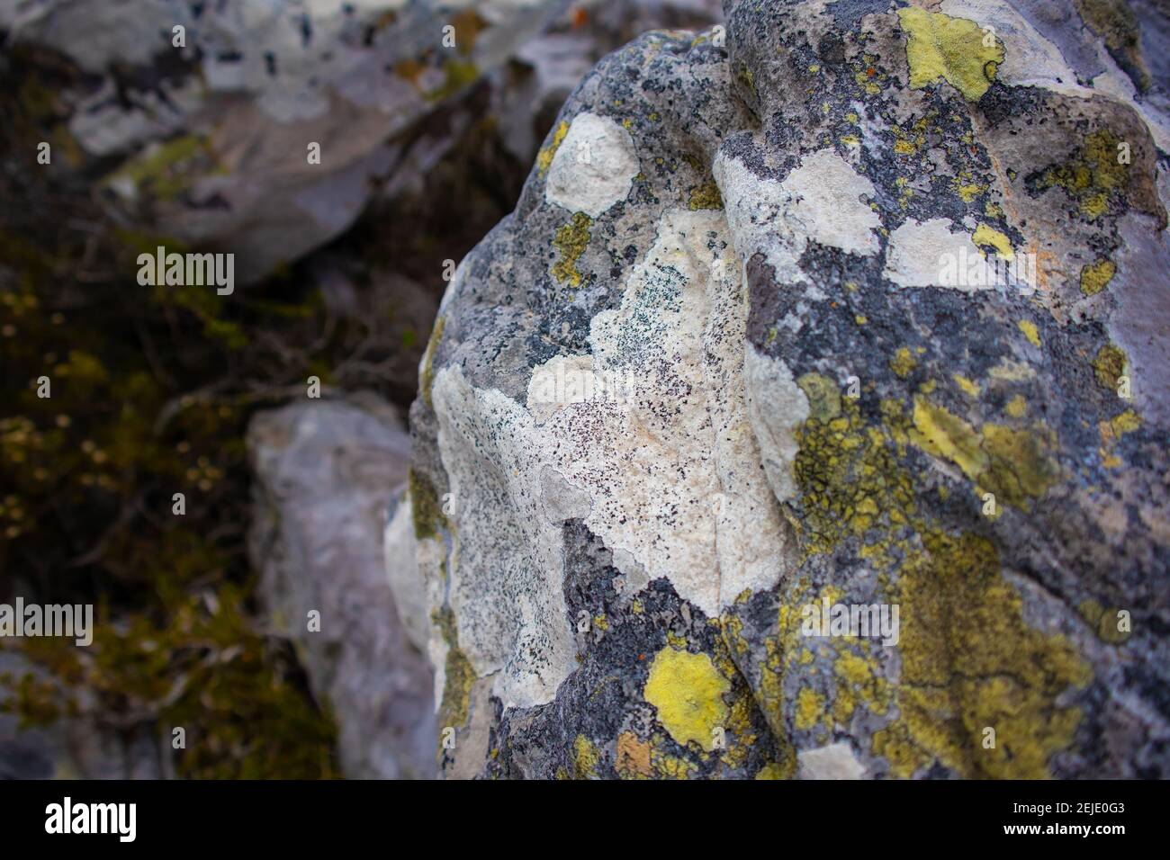 Cape Point- Cape Town, South Africa - 19-02-2021 Creative shot of ...