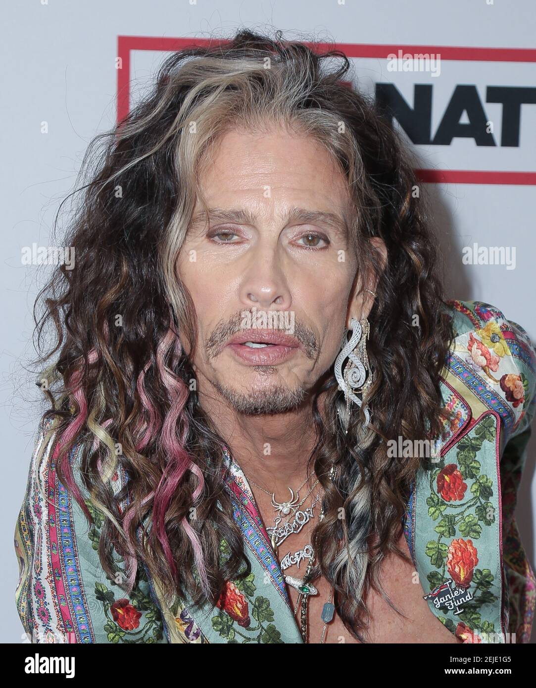 Steven Tyler walking the red carpet at the 3rd Annual Steven Tyler ...