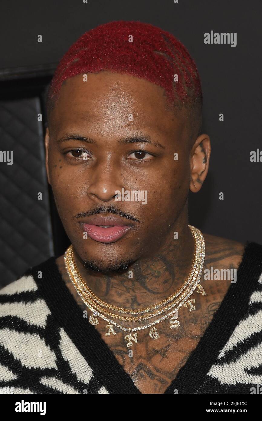 YG arrives at the 62nd Annual Grammy Awards red carpet held at the ...