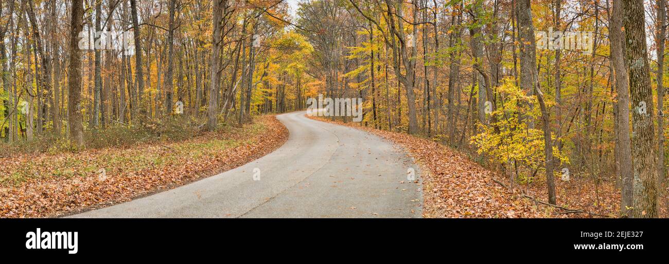Brown county state park indiana hi-res stock photography and images - Alamy
