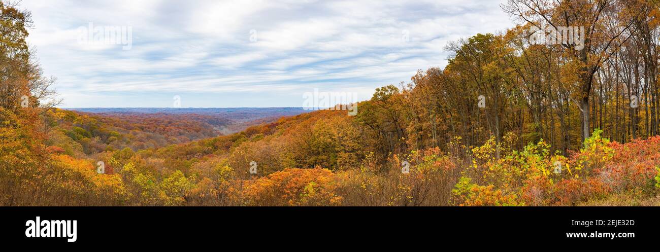Elevated view of autumn trees, Brown County State Park, Brown County ...