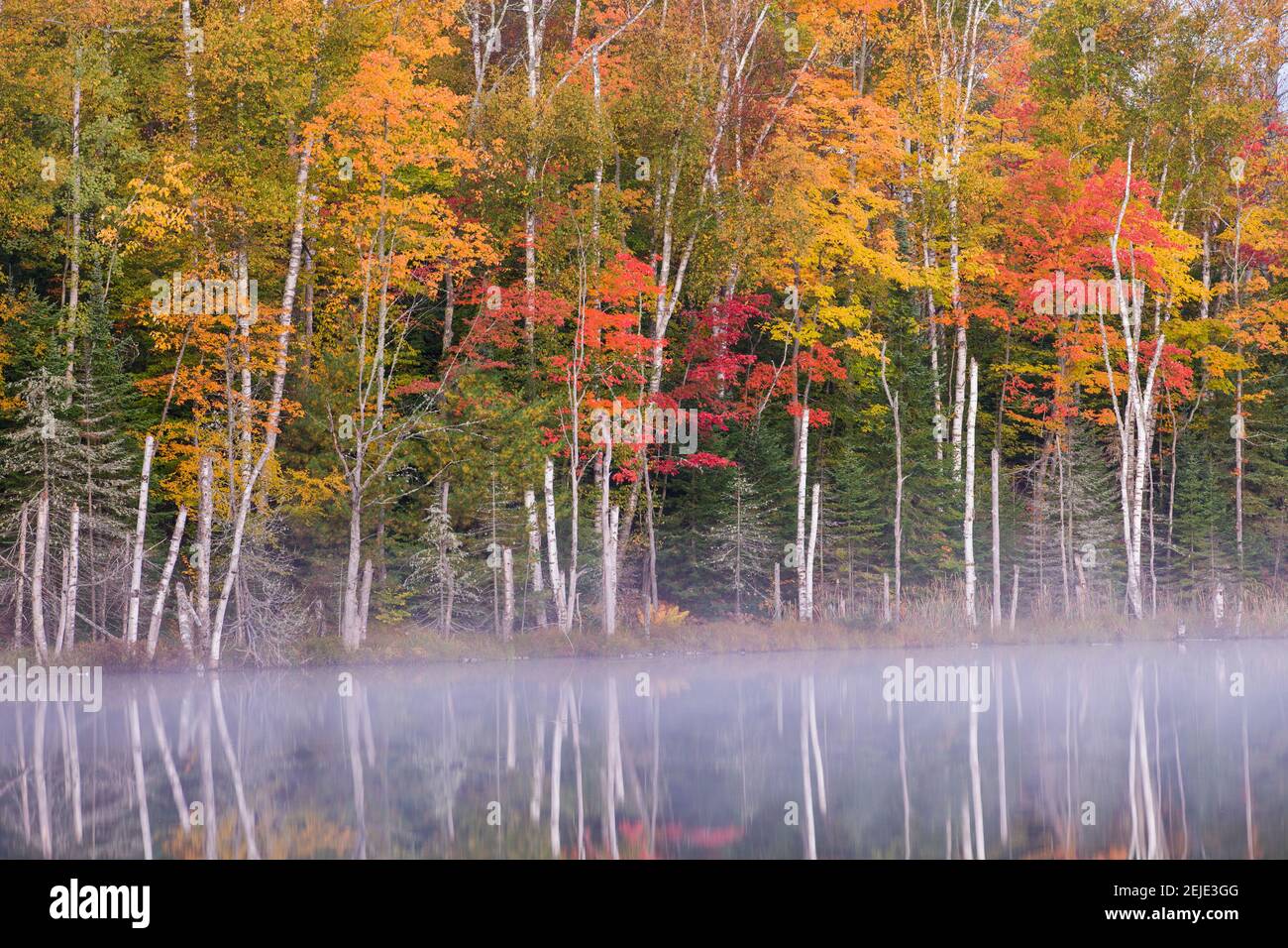 Upper peninsula fall hi-res stock photography and images - Alamy