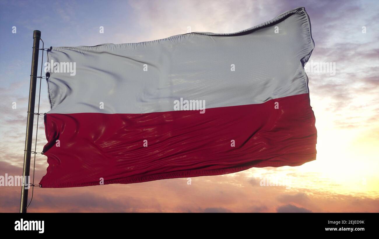 Flag of Poland waving in the wind against deep beautiful sky. 3d ...