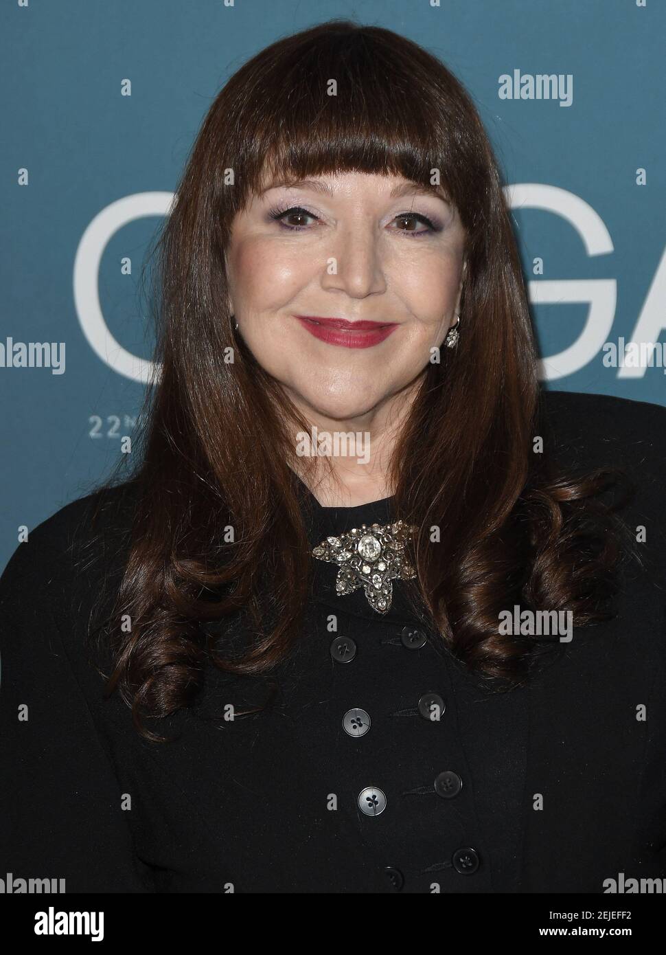 Lisa Jane Persky arrives at the 22nd Costume Designers Guild Awards ...