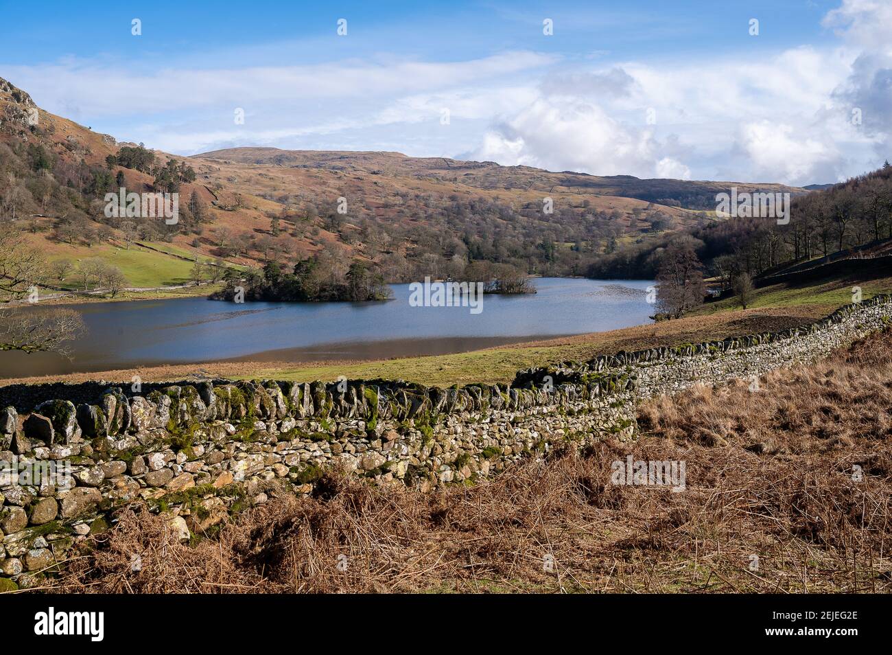 Rydal water swimming hi-res stock photography and images - Alamy