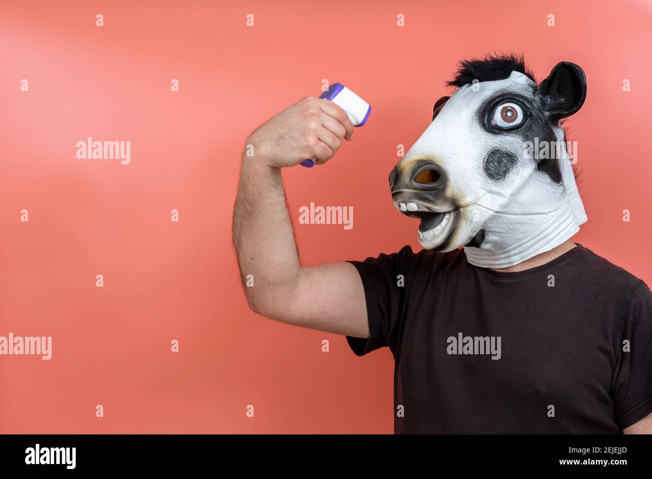 person dressed in a latex cow mask taking her temperature with an ...