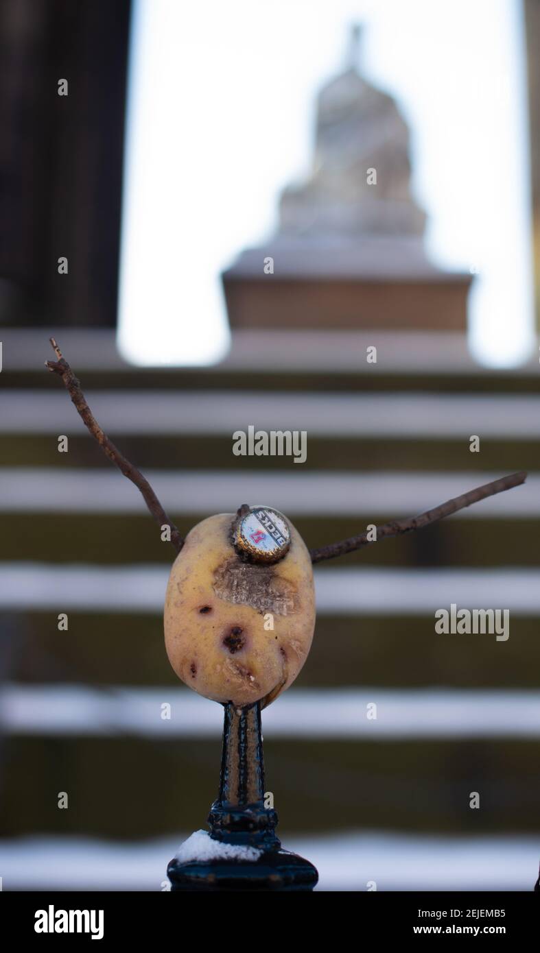 Mr potato head arms hi-res stock photography and images - Alamy