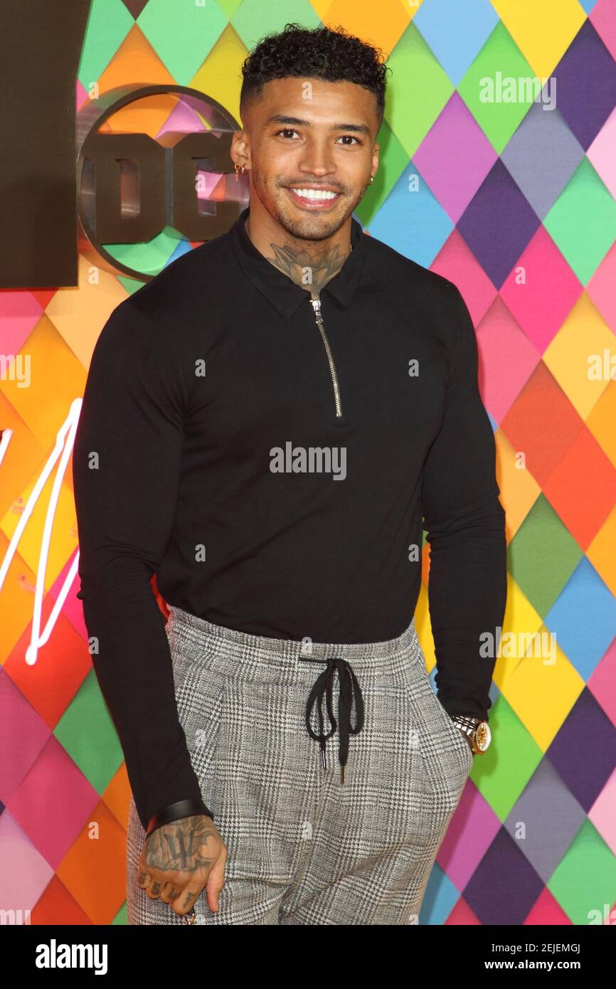 Michael Griffiths at the World Premiere of 'Birds of Prey: And the ...