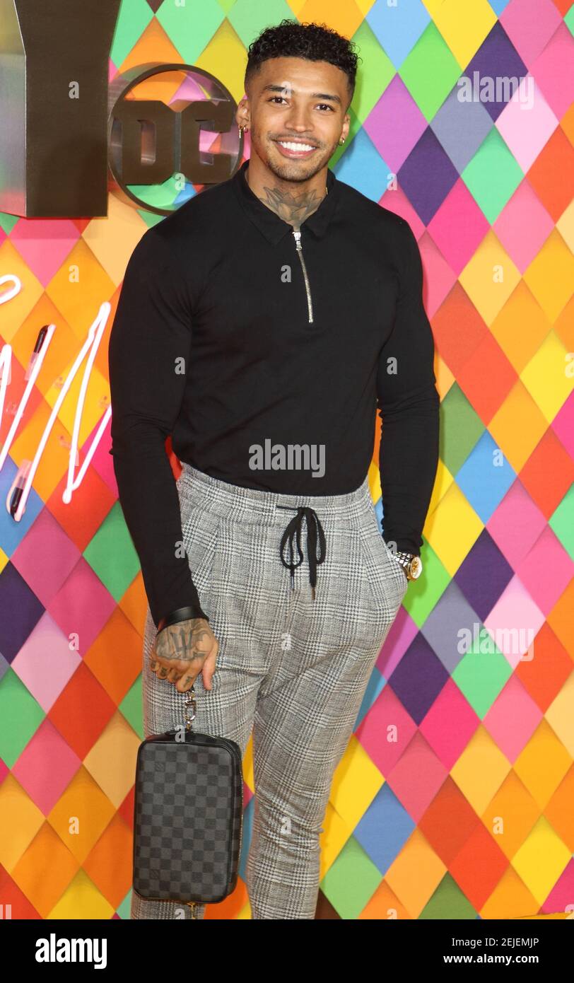 Michael Griffiths at the World Premiere of 'Birds of Prey: And the ...