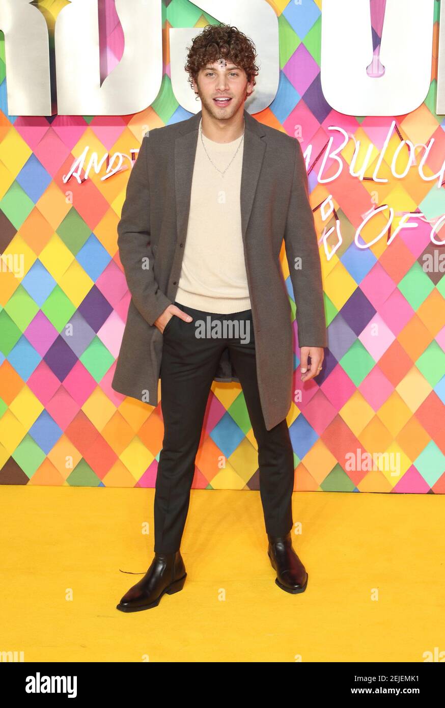 Eyal Booker at the World Premiere of 'Birds of Prey: And the ...