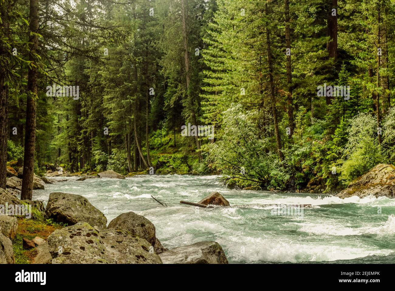 Kumrat hi-res stock photography and images - Alamy