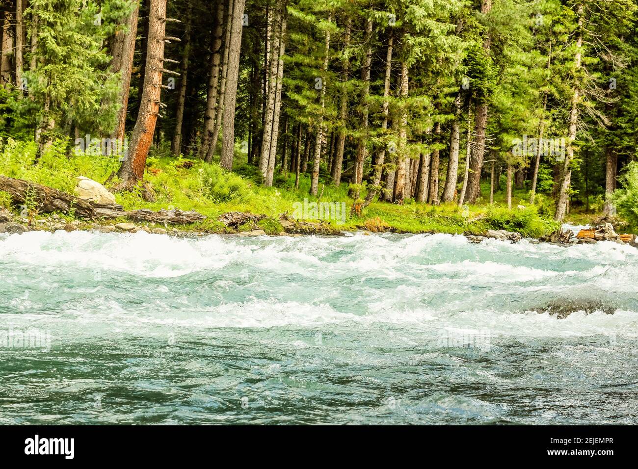 Scenic view of rapid water flow in Kumrat waterfall in Pakistan Stock ...