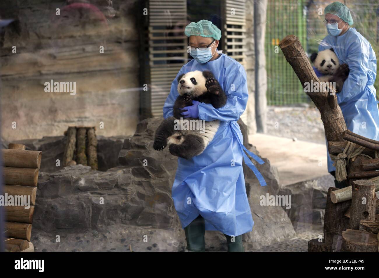 Berlin: The photo shows the Zookeeper with the panda twins in his arms ...