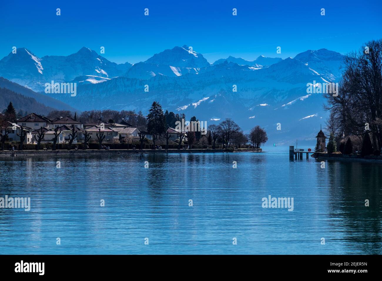 Landscape view of the the lake of Thun, with snowy alps in the ...