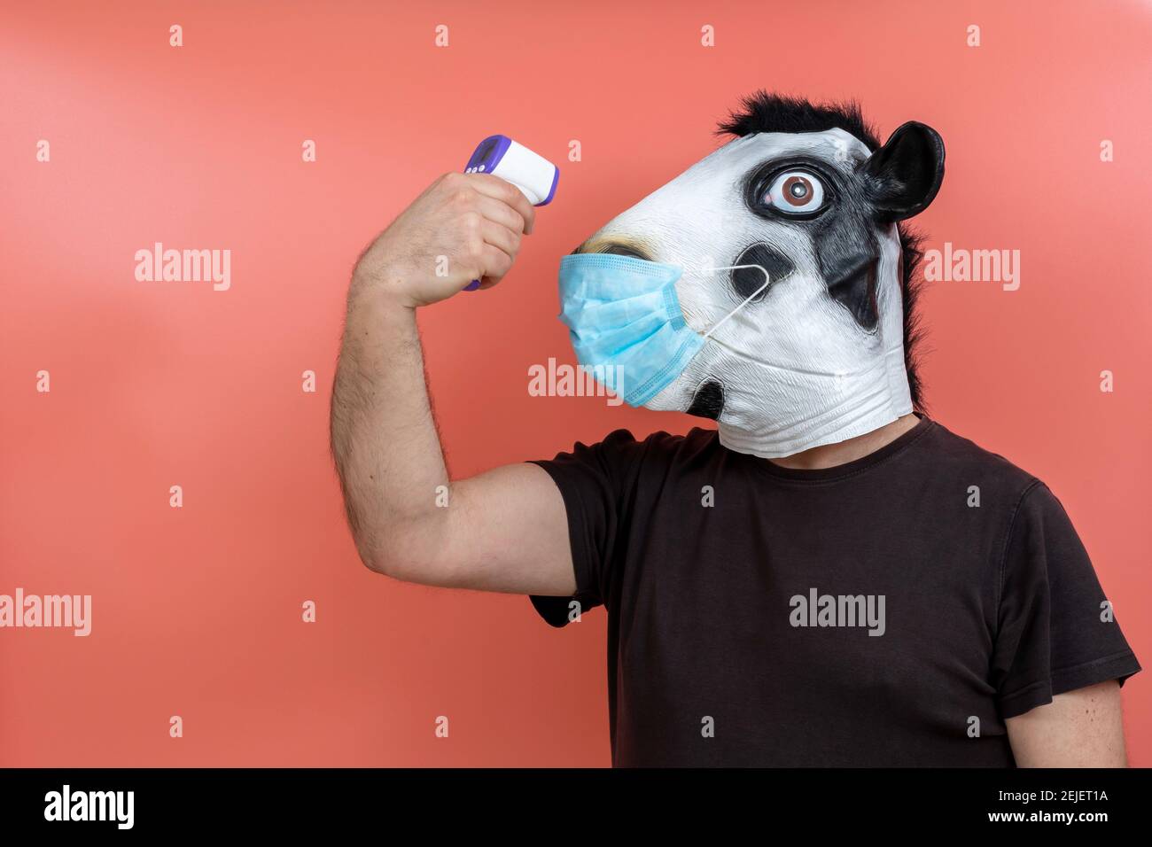 person dressed in a latex cow mask wearing mask taking her temperature ...