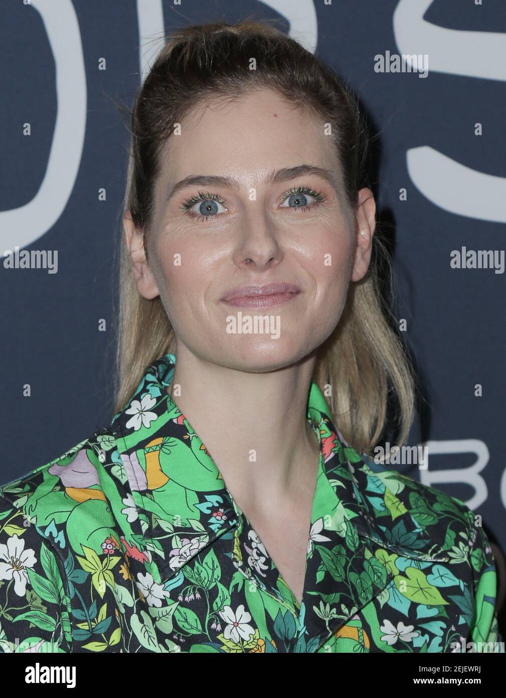 Lisa Hanawalt walking the red carpet at BoJack Horseman Final Episodes ...