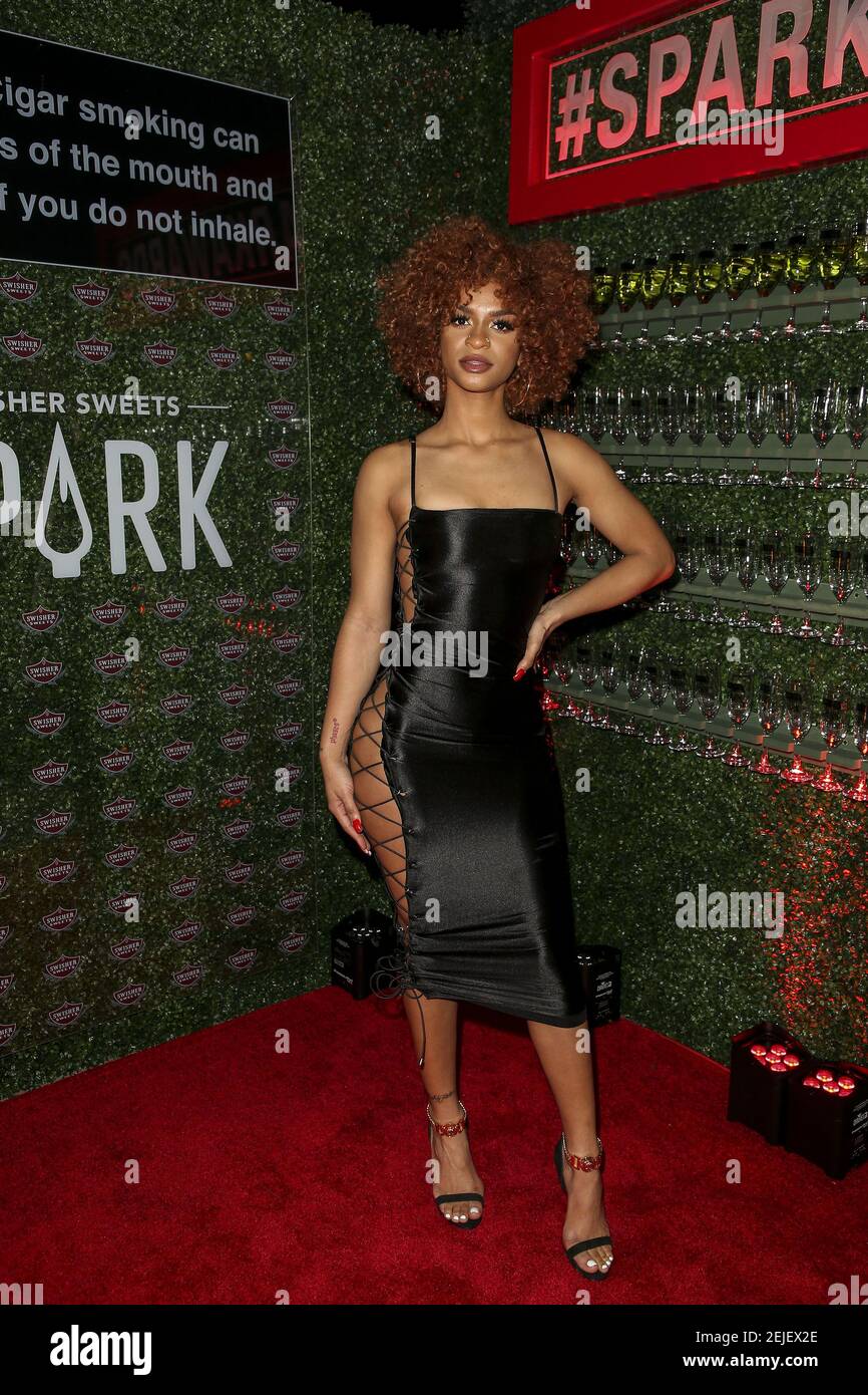 MIAMI, FL - JANUARY 30: Melii attends the Swisher Sweets Spark Party at ...