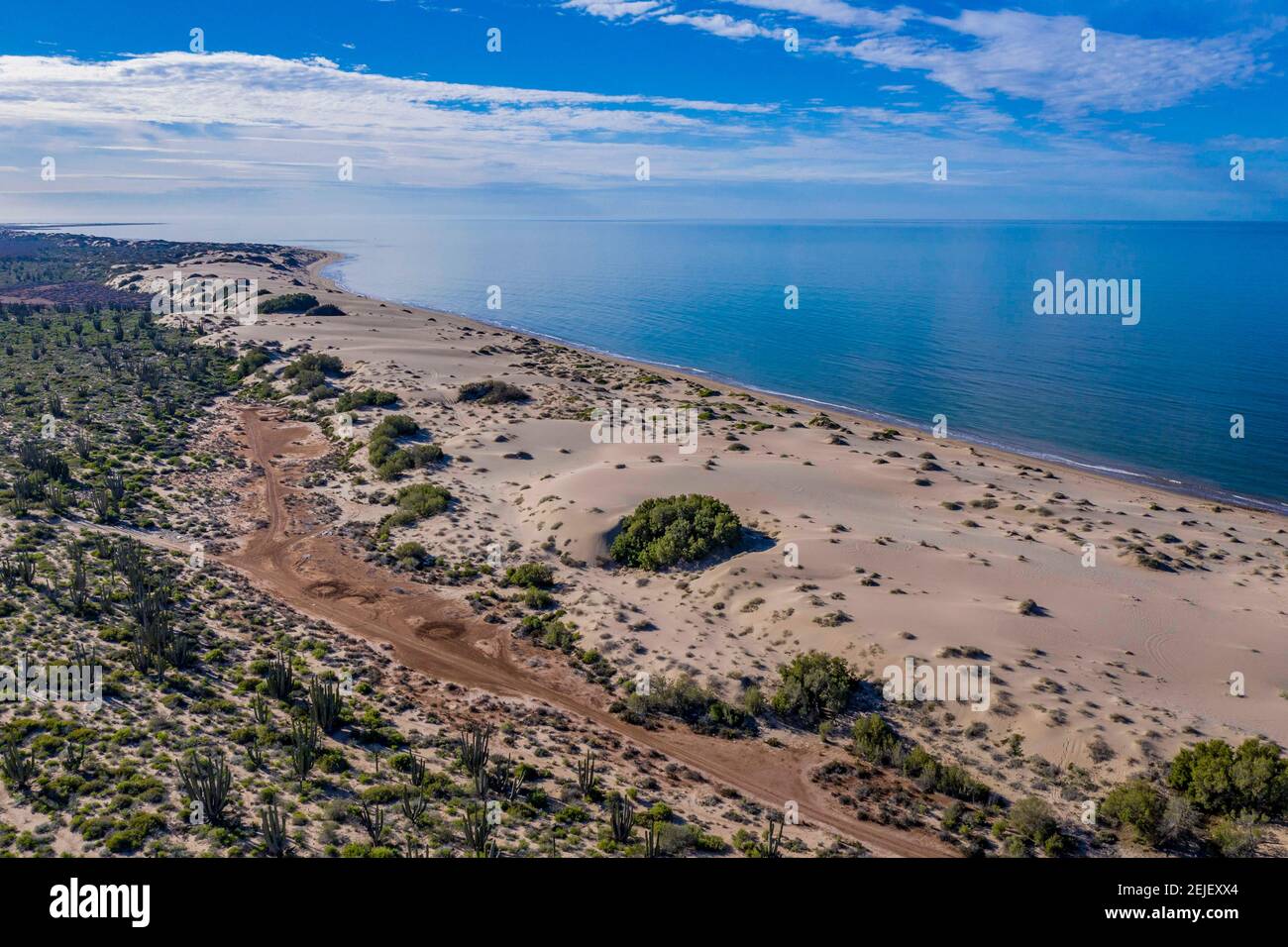 View of the sand dunes and Sahuimaro beach, Sonora, Mexico. Sonora ...