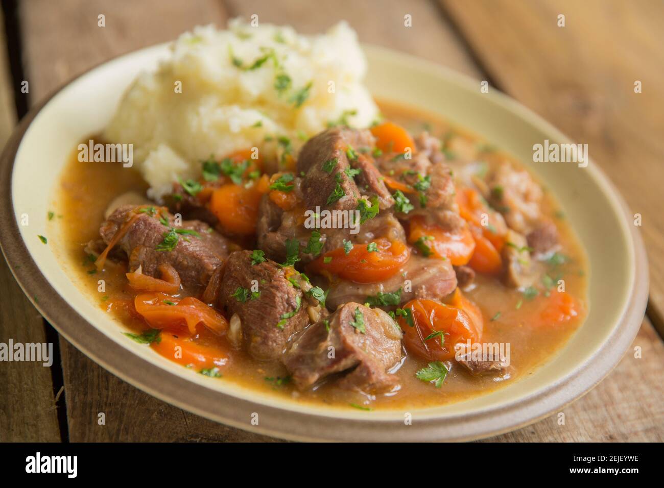 A homemade venison stew made from a wild fallow deer that has been ...