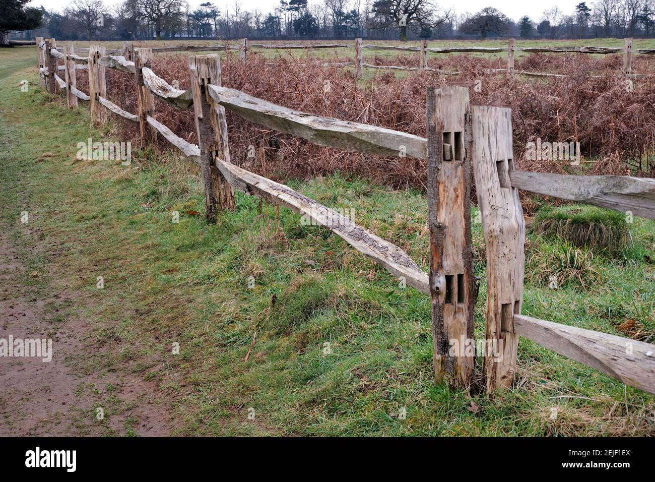 old fence rotting and falling down Stock Photo - Alamy