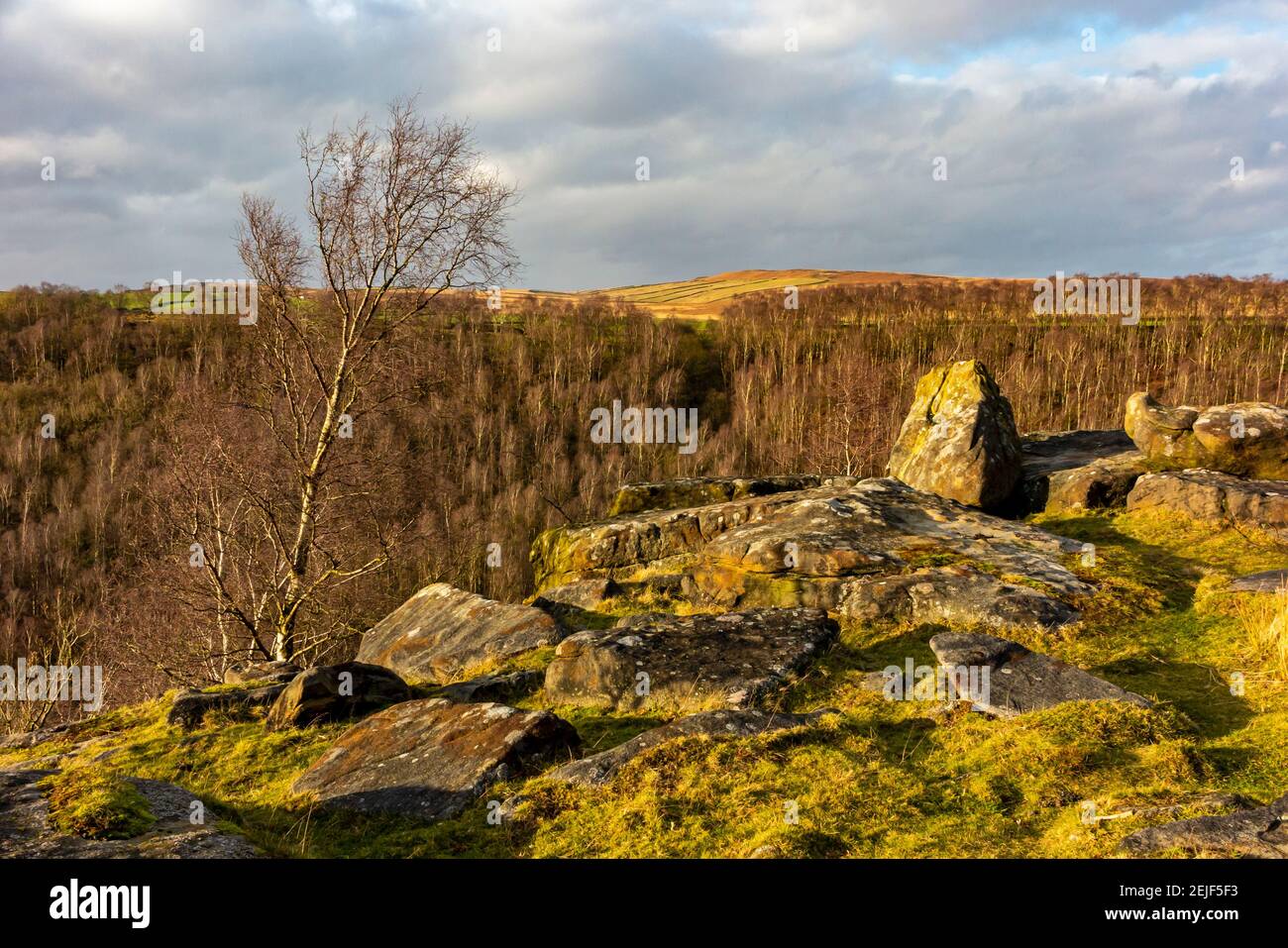 Winter view with rocks and trees at Gardom's Edge near Baslow in the ...