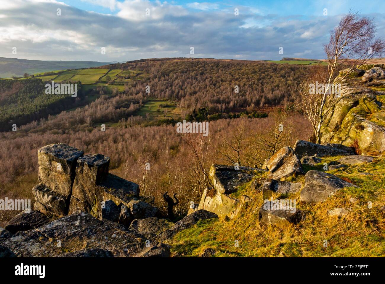 Winter view with rocks and trees at Gardom's Edge near Baslow in the ...