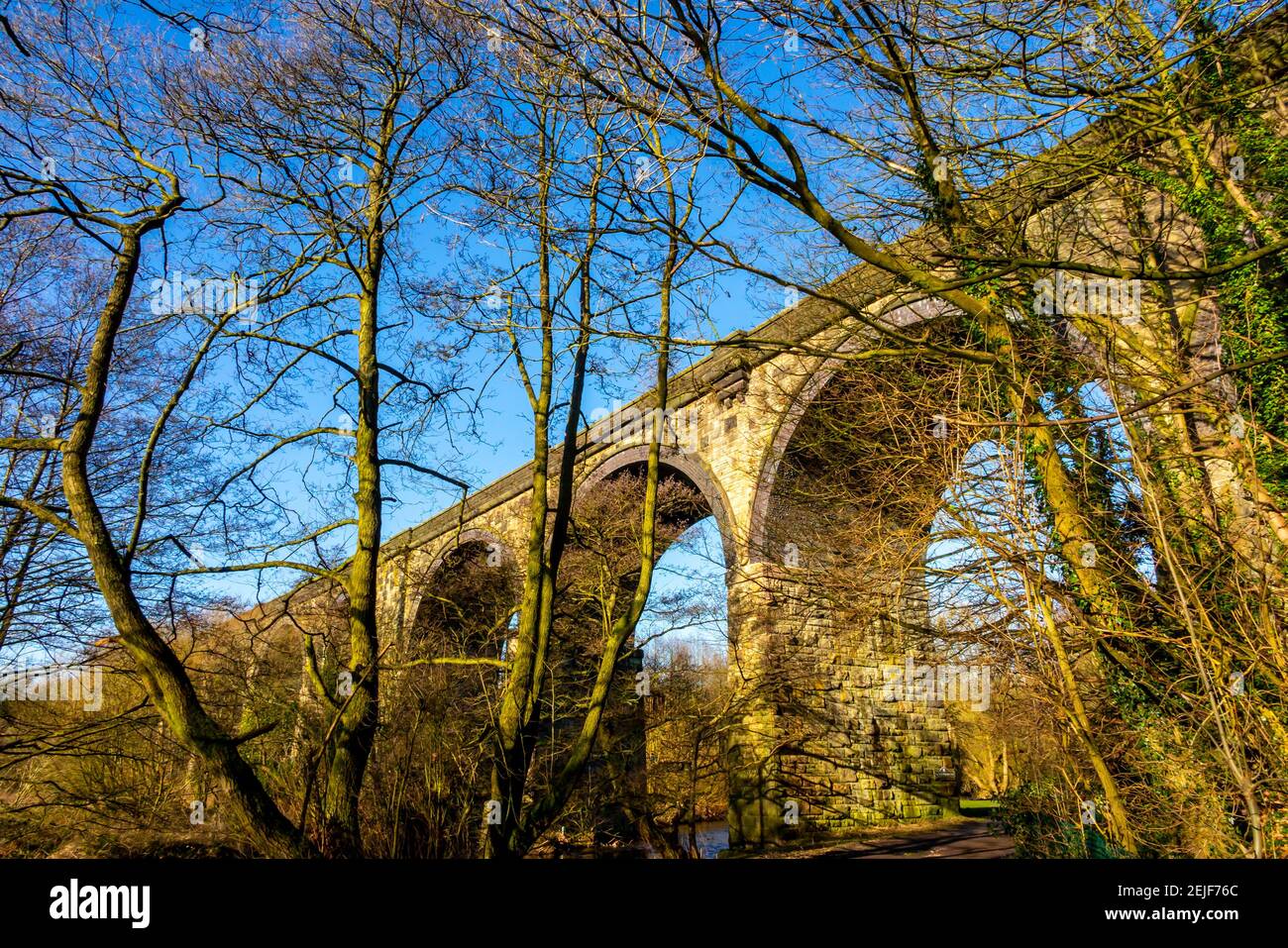 Bridge near Torr Vale Mill in the Torrs a gorge in the River Goyt ...