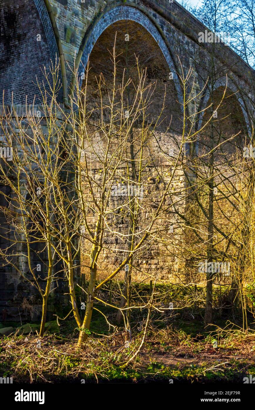 Bridge near Torr Vale Mill in the Torrs a gorge in the River Goyt ...