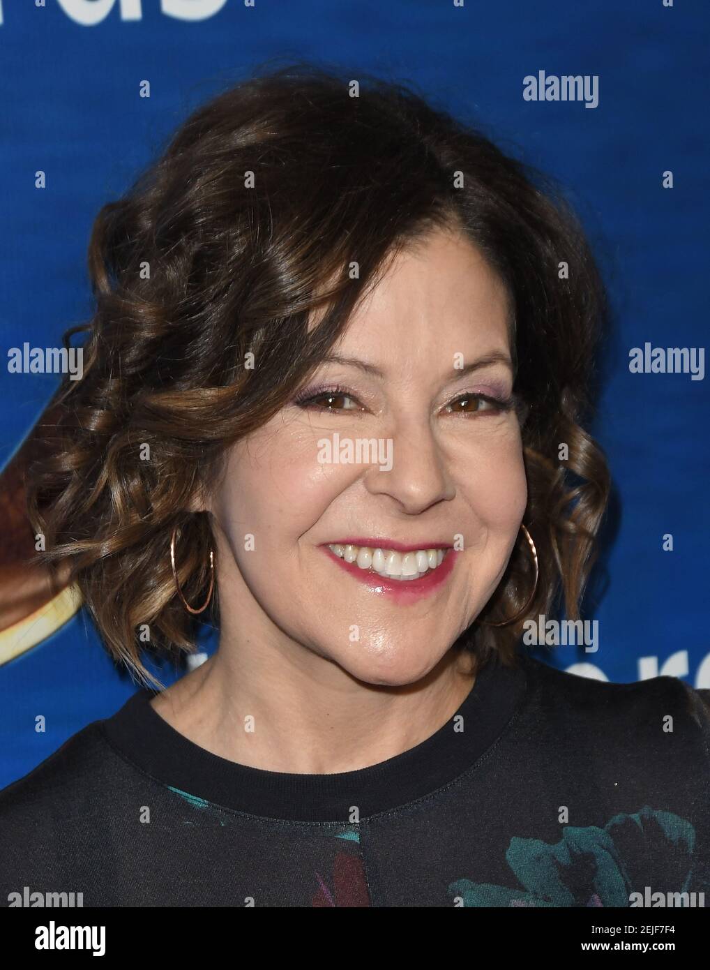Nancy Cohen walks the carpet at the 2020 Writers Guild Awards held at ... Nancy Cohen walks the carpet at the 2020 Writers Guild Awards held at ...
