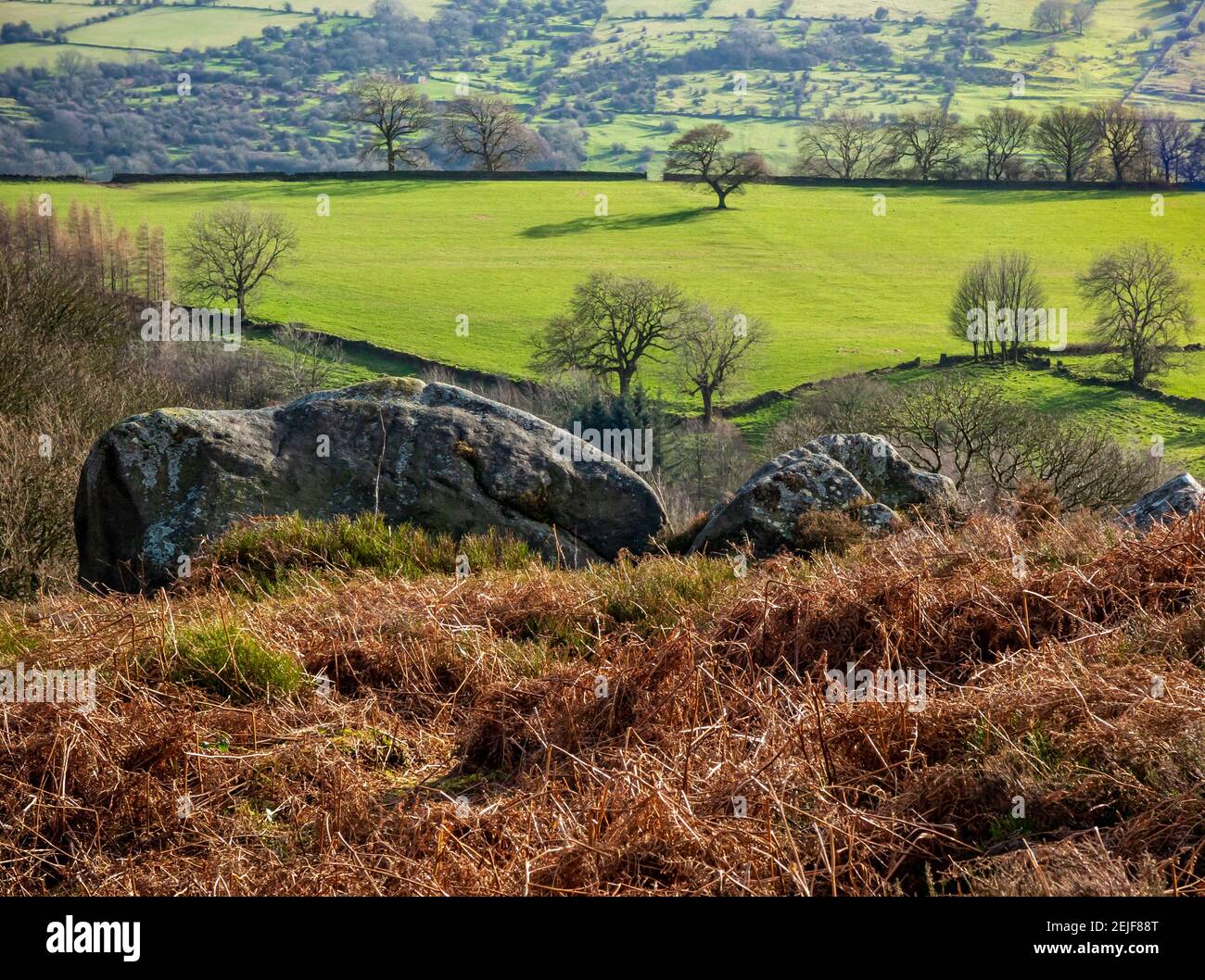 Winter view with trees and rocks at Stanton Moor in the Peak District ...
