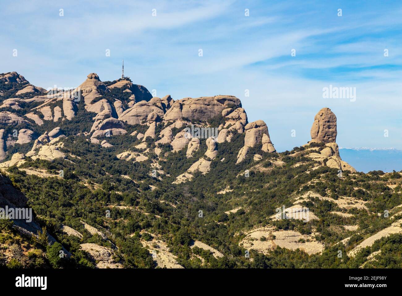 Montserrat is an emblematic mountain of Catalonia in which many types ...