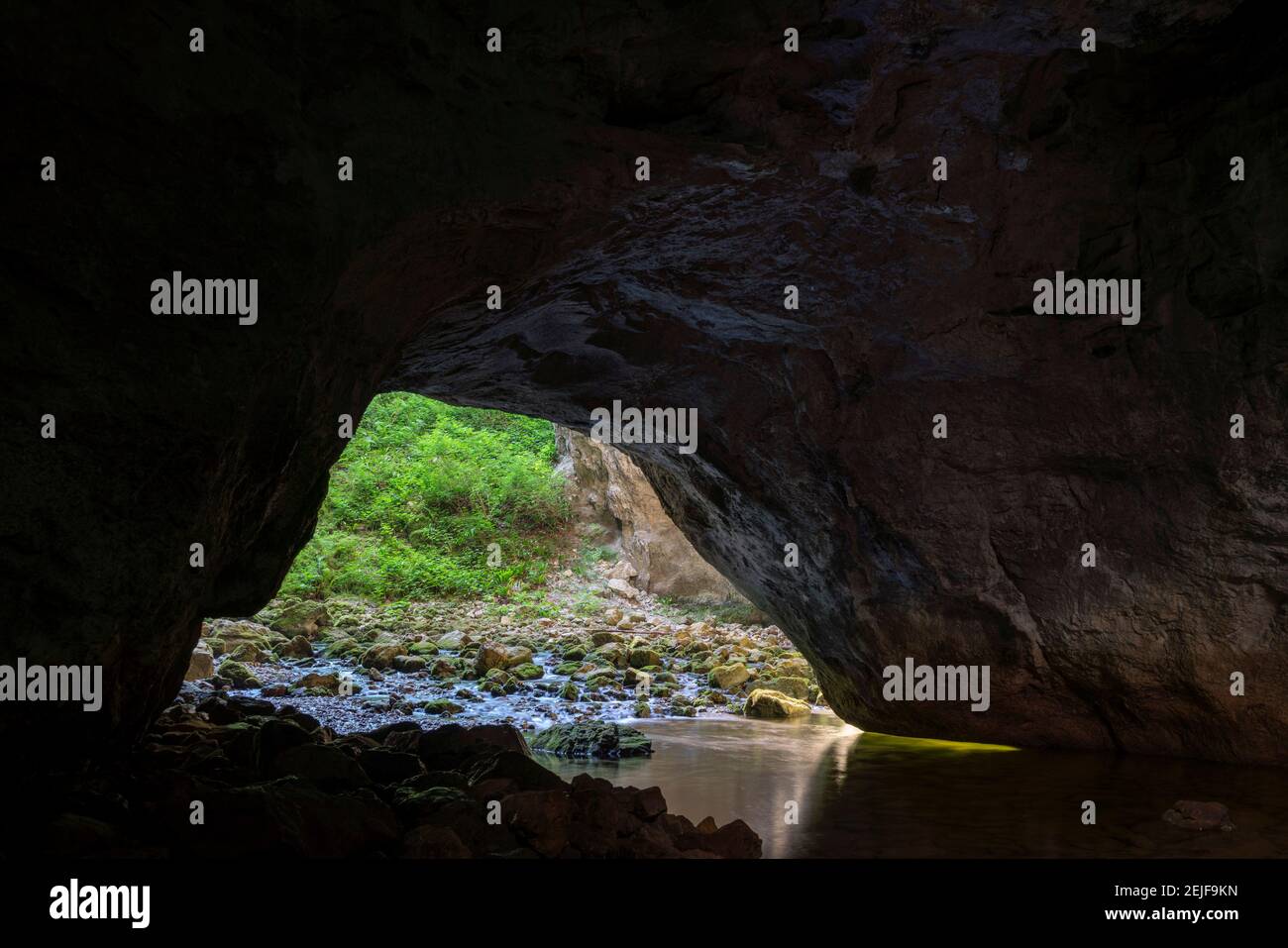 Rak Skocjan valley, Inner Carniola, Slovenia Stock Photo - Alamy