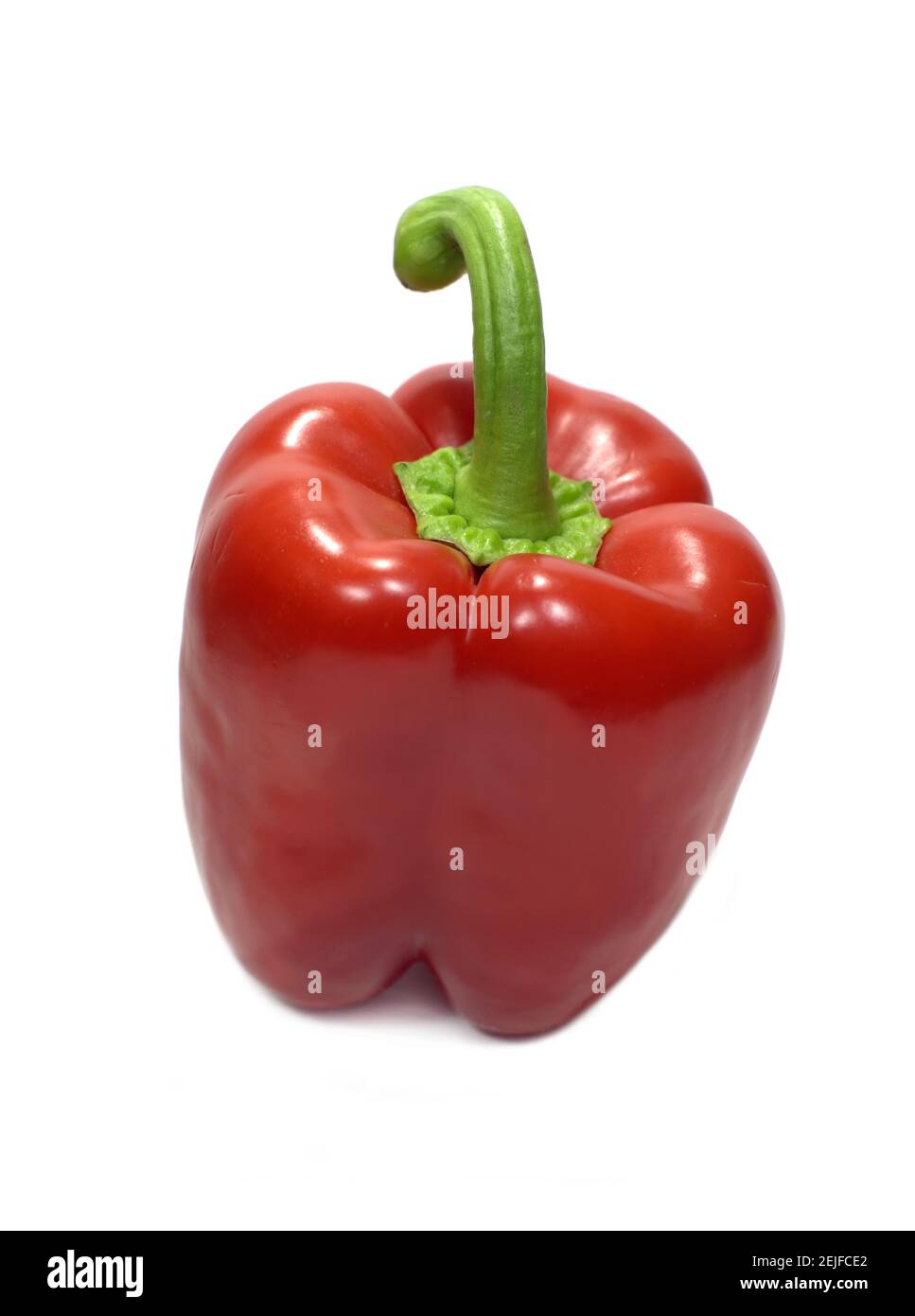 Still life with big ripe red bell pepper isolated on white background ...
