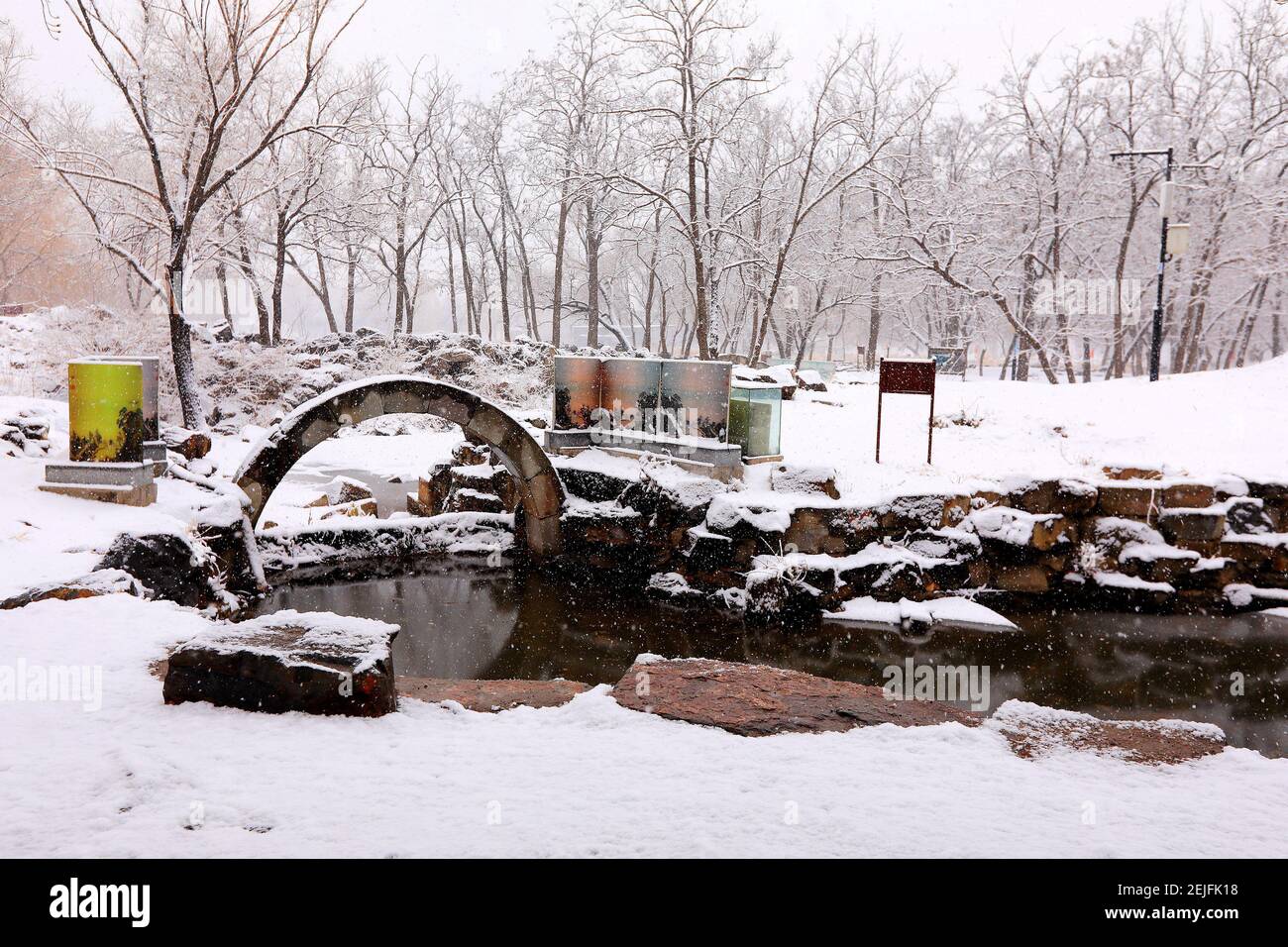 The view of the very first snow of year of rat covering the Old Summer ...