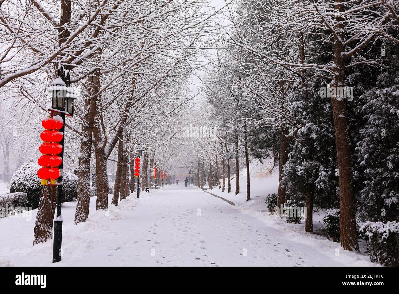 The view of the very first snow of year of rat covering the Old Summer ...