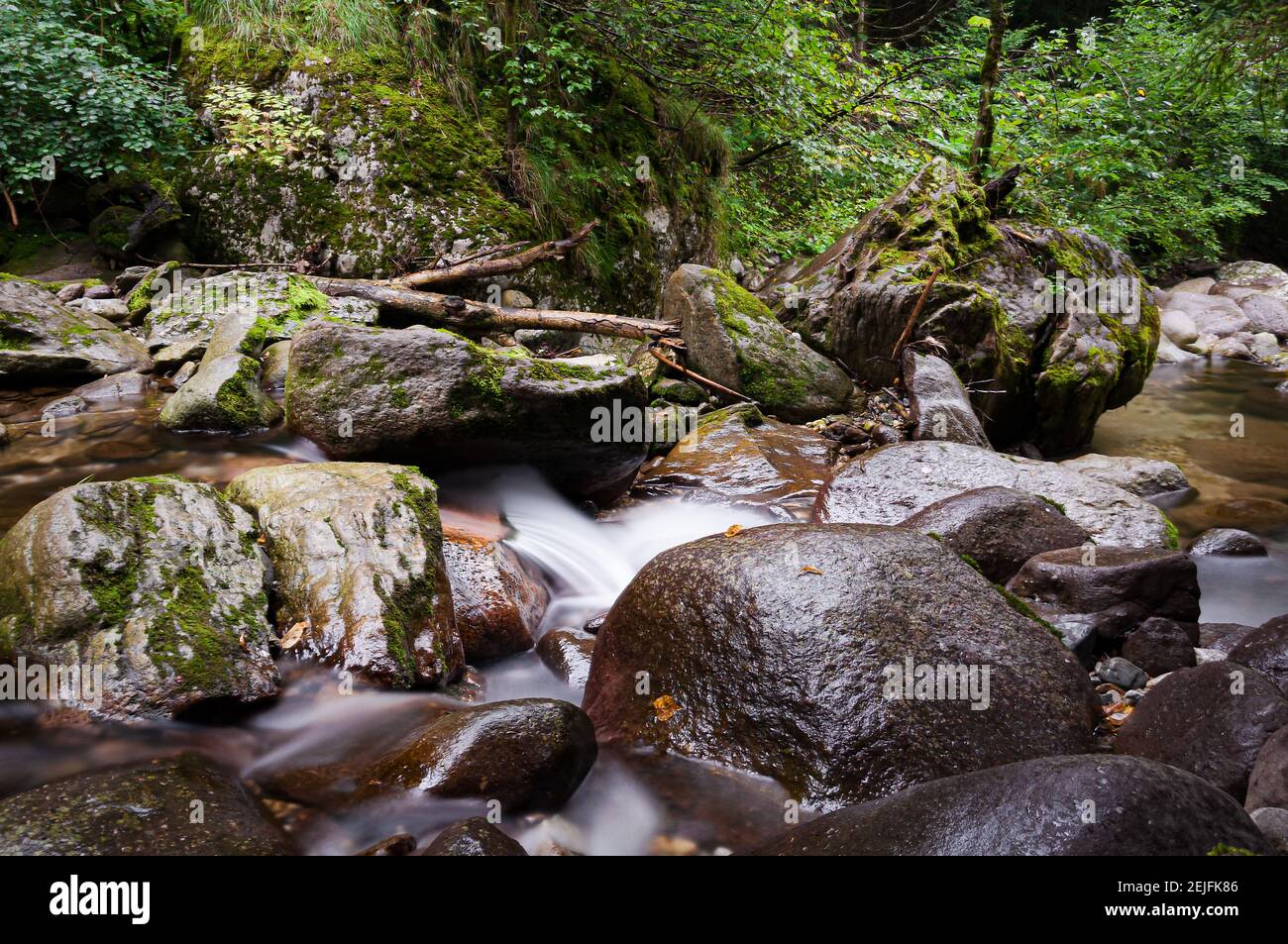 Water flow in the green Brembana Valley, Bergamo, Italy Stock Photo - Alamy