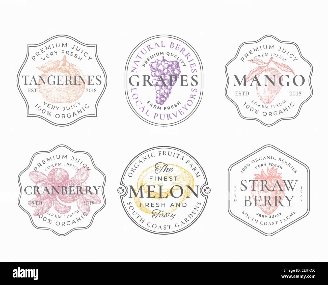 Fruits and Berries Frame Badges or Logo Templates Collection. Hand ...