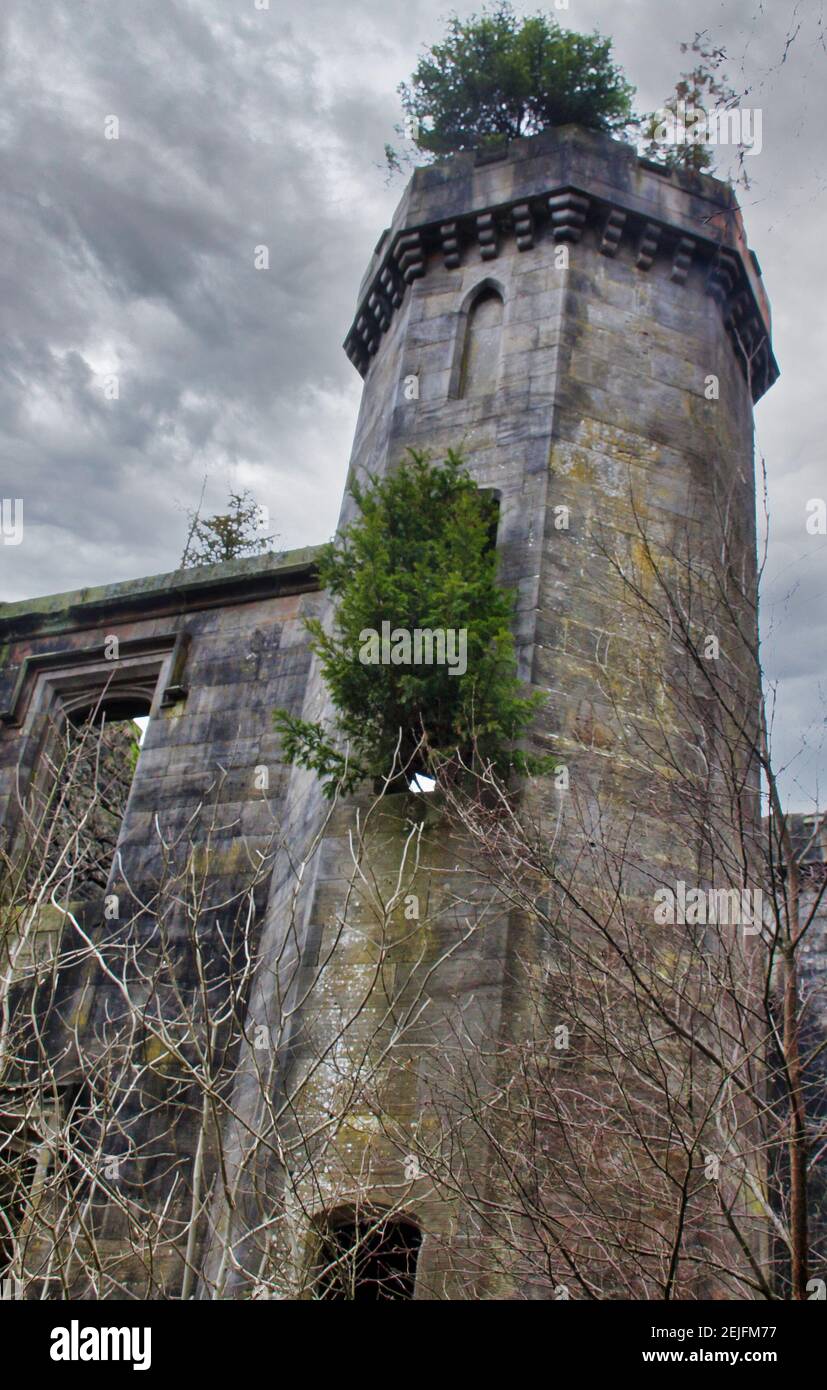 Craigend High Resolution Stock Photography and Images - Alamy